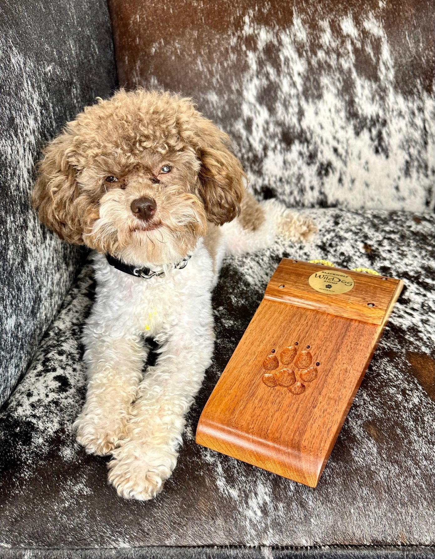Wild Dog Custom Shop Blackwolf Stomp Box - 1250325 | Artisan Guitars
