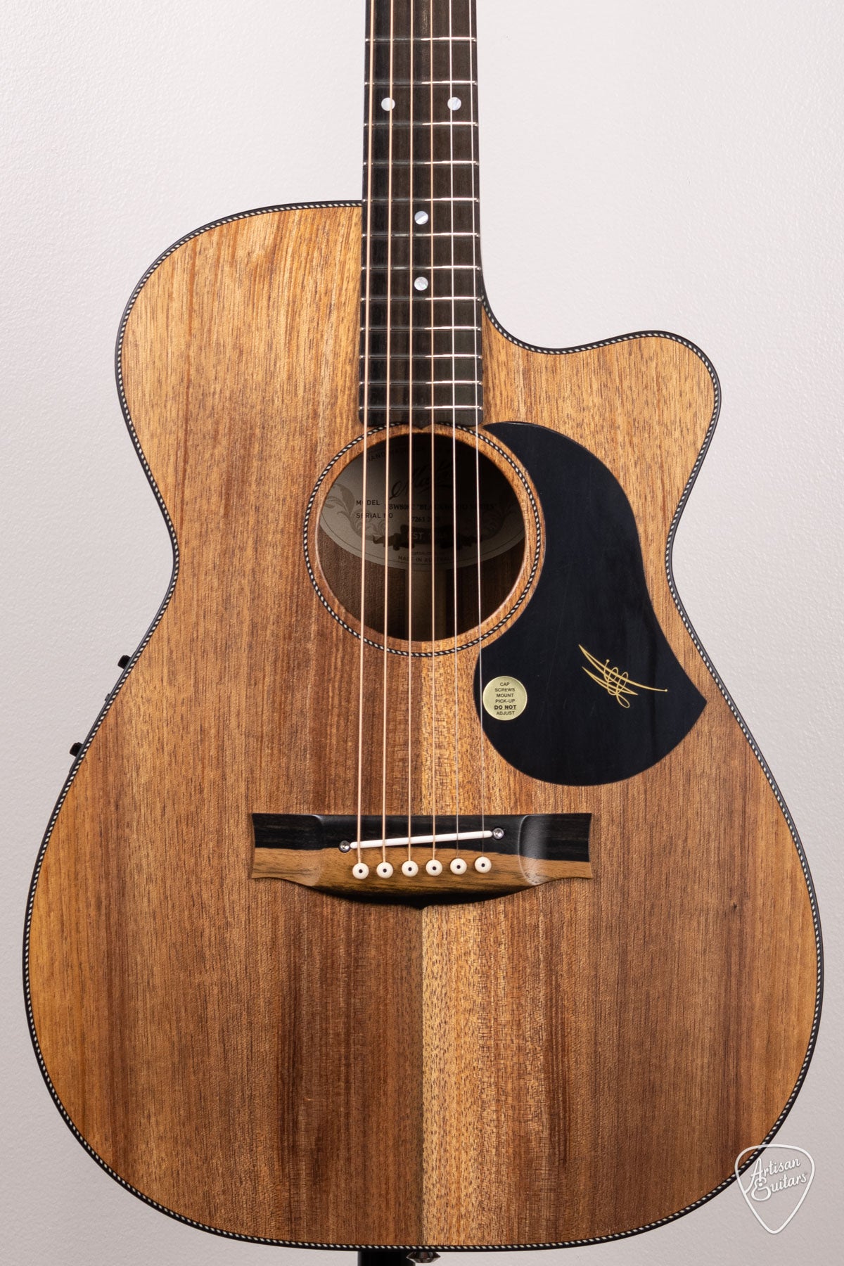 The Blackwood Series | Artisan Guitars
